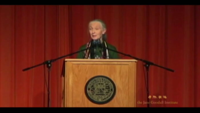Conservation Through Public Health | Jane Goodall by her friends: ‘She ...